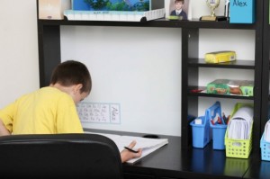 Grade 2 Homework An Introduction - In My World