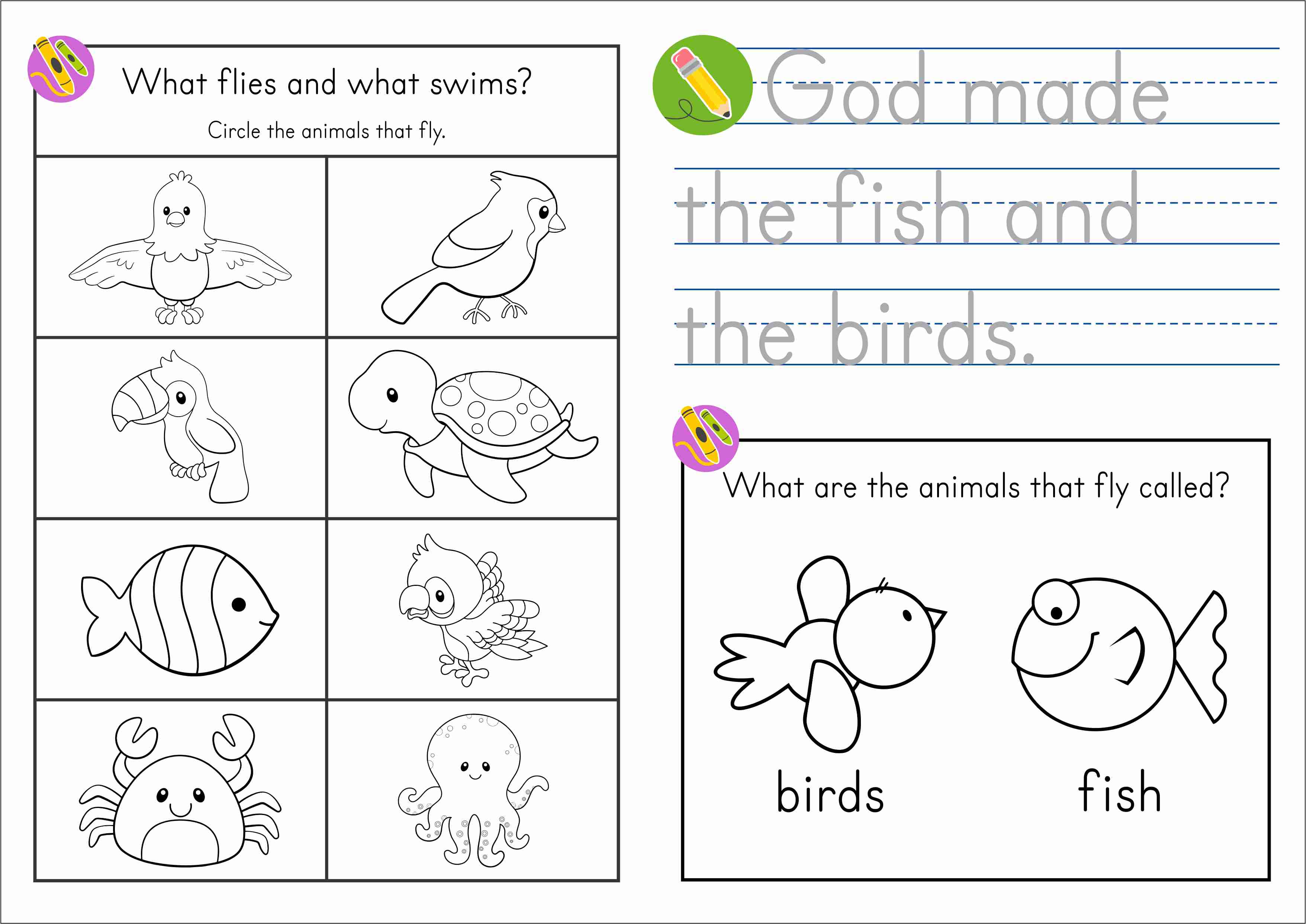Sunday School Creation Day 5 In My World Sunday School Creation Day 5 In My World