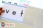 Preschool Letter V - In My World