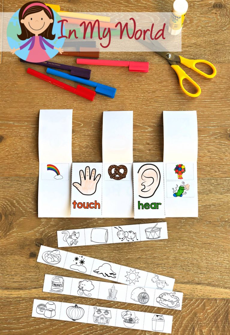 5 Senses Flip Books & Worksheets - In My World