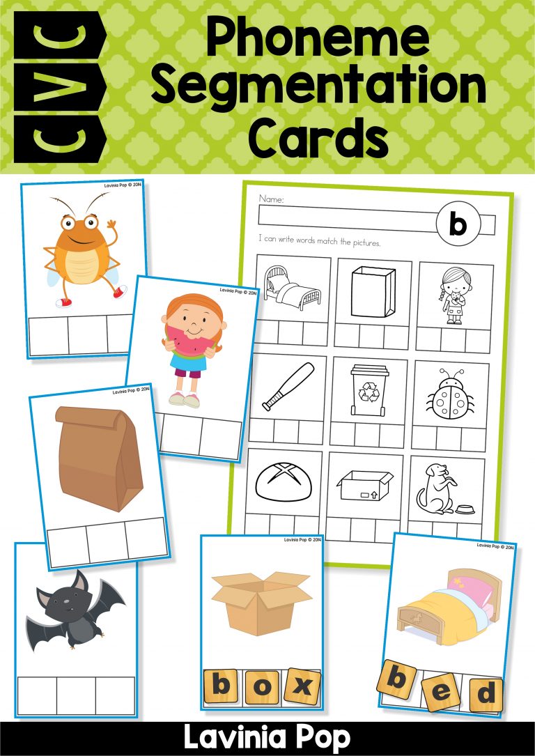 CVC Phoneme Segmentation Cards - In My World