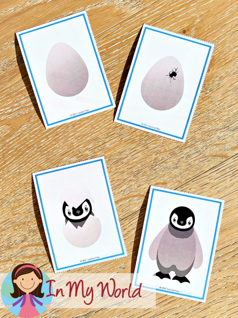 Polar Animals Preschool Centers - In My World