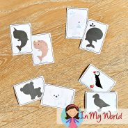 Polar Animals Preschool Centers - In My World