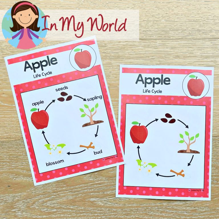 Apple Life Cycle - In My World