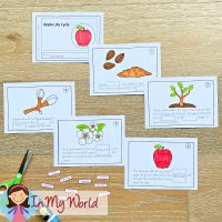 Apple Life Cycle - In My World