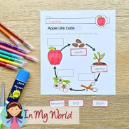Apple Life Cycle - In My World