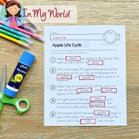 Apple Life Cycle - In My World