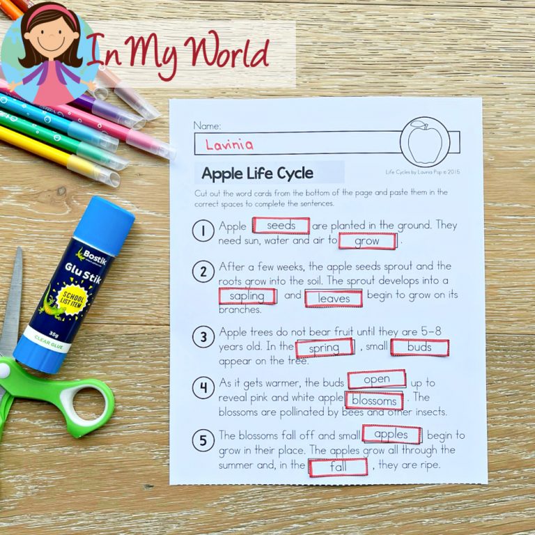 Apple Life Cycle - In My World