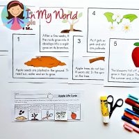 Apple Life Cycle - In My World