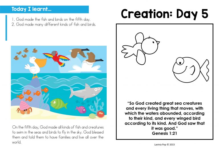 Sunday School Creation: Day 5 Birds and Fish - In My World