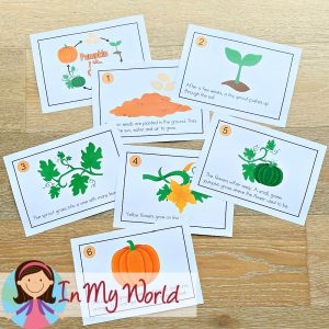 Pumpkin Life Cycle - In My World