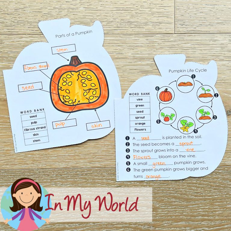Pumpkin Shaped Writing Book - In My World