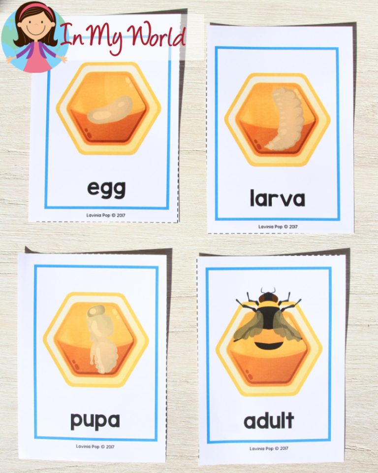 FREE Summer Preschool Centers - In My World